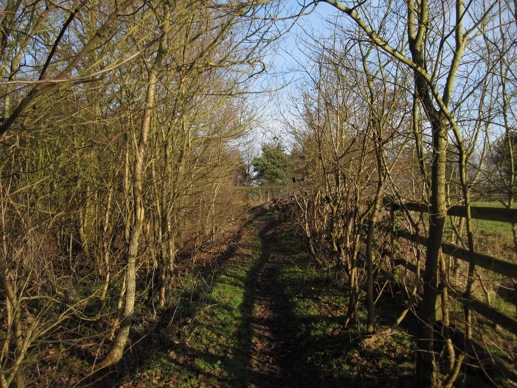 Baas Hill - Woodland Trust