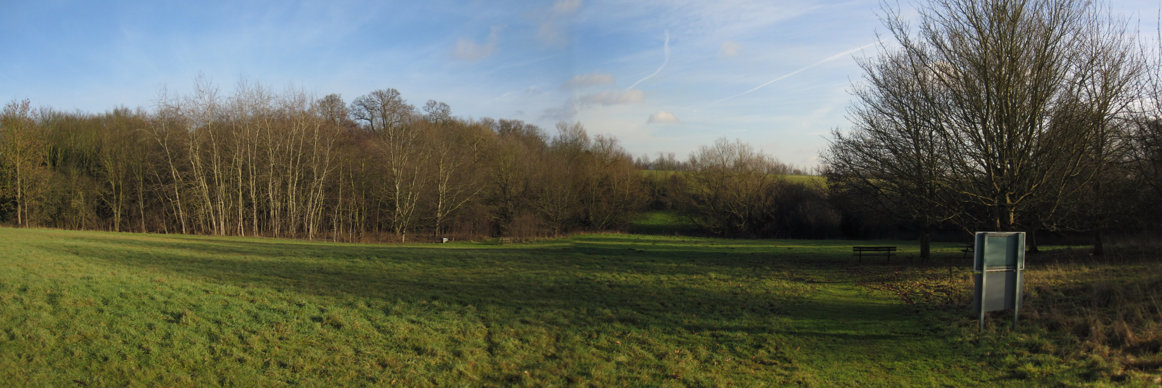 Baas Hill - Woodland Trust