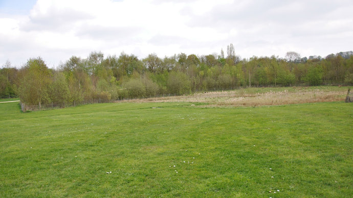 Colliers Wood - Woodland Trust