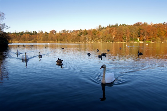 Bolam Lake Country Park - Woodland Trust