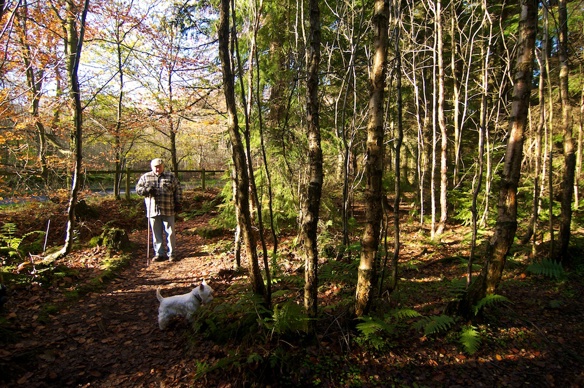 Bolam Lake Country Park - Woodland Trust