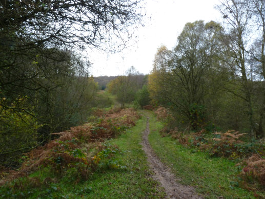 Biddulph Valley Way - Woodland Trust
