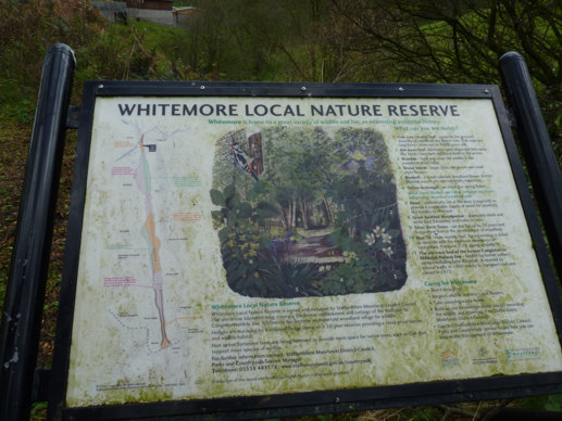 Biddulph Valley Way - Woodland Trust