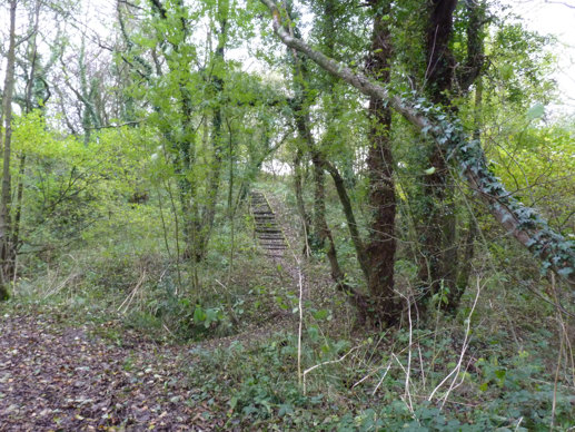 Biddulph Valley Way - Woodland Trust
