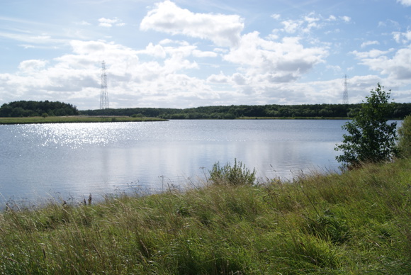 QE II Country Park - Woodland Trust