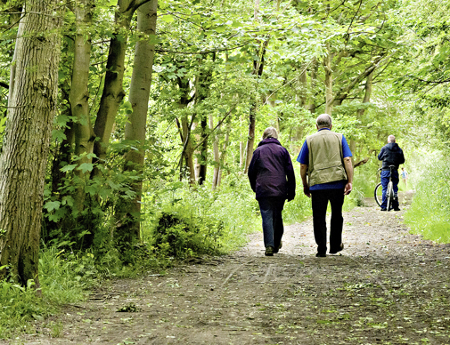 Gunton Woods - Woodland Trust