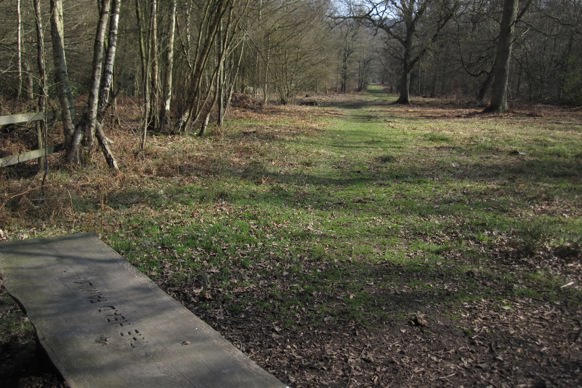 Northaw Great Wood - Woodland Trust