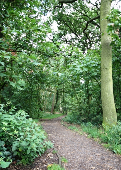 Ruff Wood - Woodland Trust