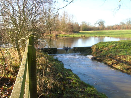 Southwick Country Park - Woodland Trust