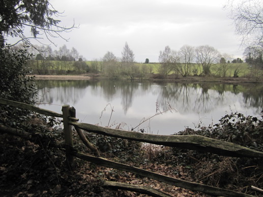 Hurcott Wood - Woodland Trust