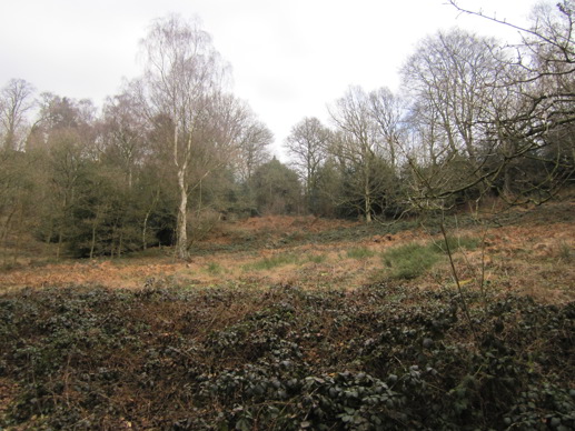 Habberley Valley - Woodland Trust