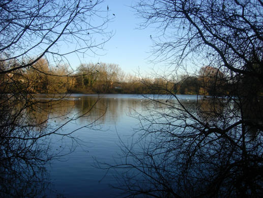 Ifield Mill - Woodland Trust