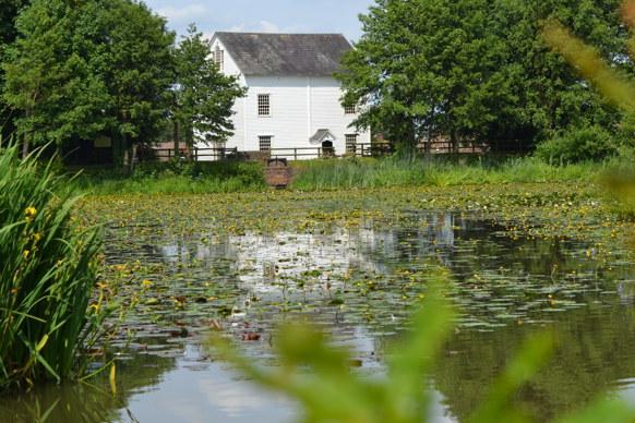 Ifield Mill - Woodland Trust