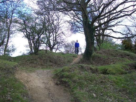 Dartford Heath and Bowmans Heath - Woodland Trust