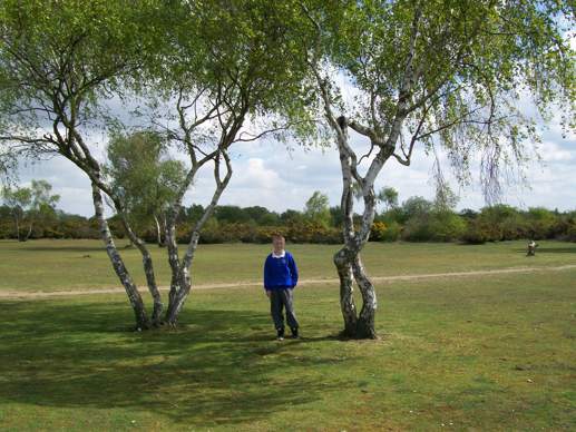 Dartford Heath and Bowmans Heath - Woodland Trust