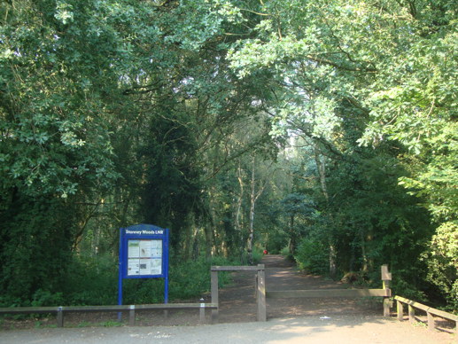 Stanney Wood - Woodland Trust