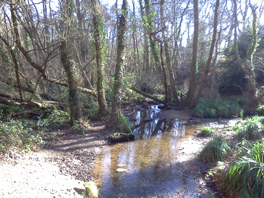 Warsash Common - Woodland Trust