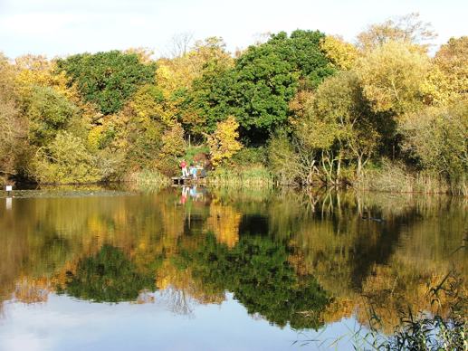 West of the River Alver LNR - Woodland Trust