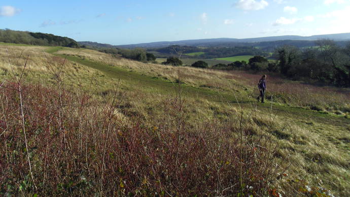 Merrow Common and Woods - Woodland Trust