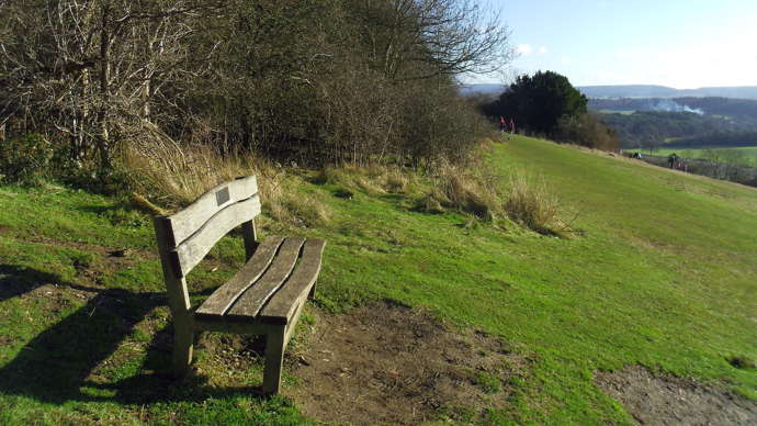 Merrow Common and Woods - Woodland Trust