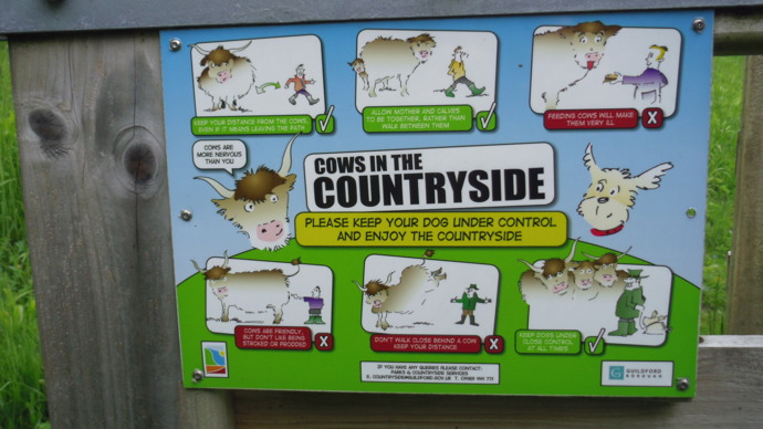 Merrow Downs - Woodland Trust