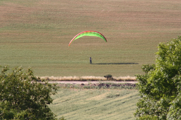 Merrow Downs - Woodland Trust