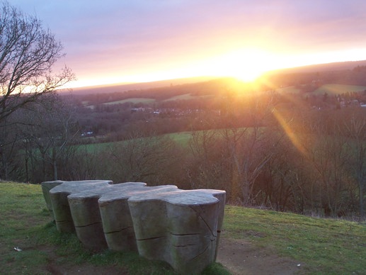 Chantry Wood - Woodland Trust