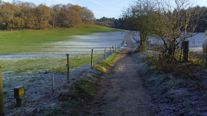 Chantry Wood - Woodland Trust