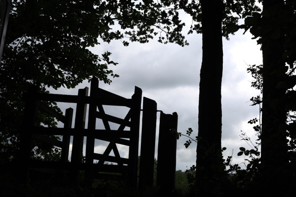 Burbage Common And Woods - Woodland Trust