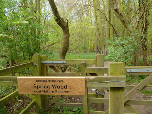 Spring Wood and Millennium Wood - Woodland Trust