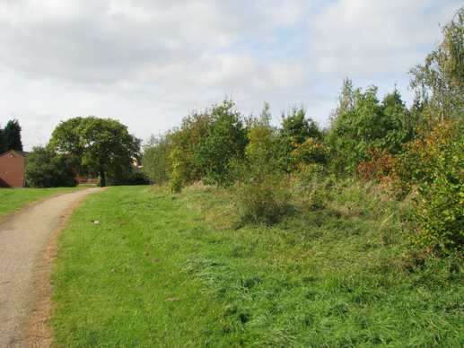 Nuneaton & Bedworth Woodlands - Woodland Trust