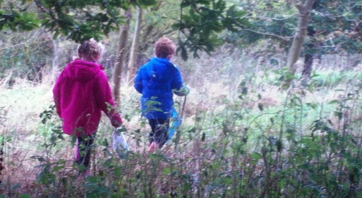 Raincliffe Woods - Woodland Trust