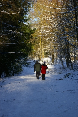 Raincliffe Woods - Woodland Trust