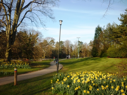 Nowton Park - Woodland Trust