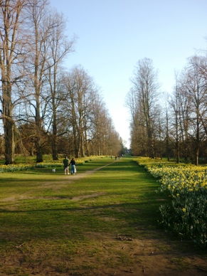 Nowton Park - Woodland Trust