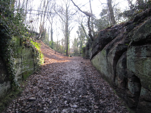 Helsby Quarry - Woodland Trust