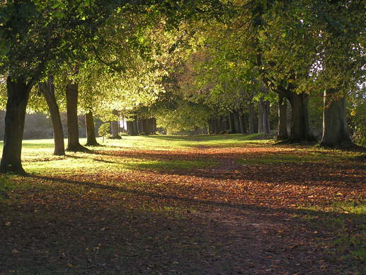 Farnham Park - Woodland Trust