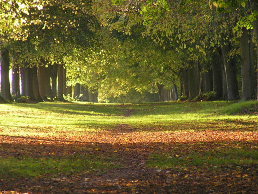 Farnham Park - Woodland Trust