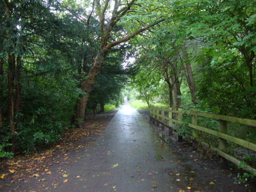 Arrowe Country Park - Woodland Trust