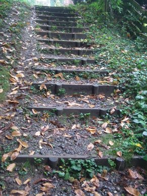 Middlings Wood - Woodland Trust