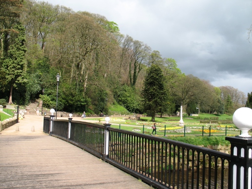Town Wood Congleton Park - Woodland Trust