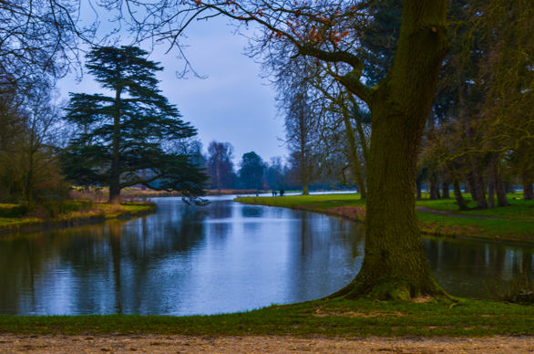 Langley Park Country Park - Woodland Trust