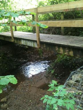 Pontprennau Wood - Woodland Trust