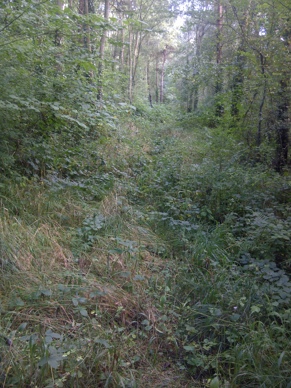 Shotwick Park Estate - Woodland Trust