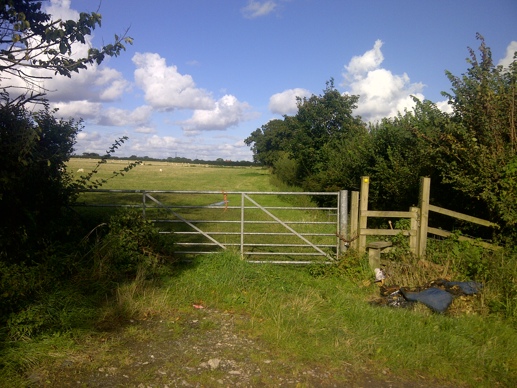 Shotwick Park Estate - Woodland Trust