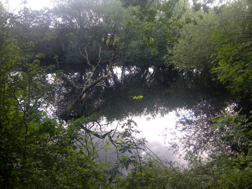 Shotwick Park Estate - Woodland Trust