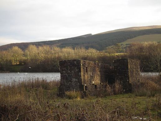 Longlands Lake - Woodland Trust