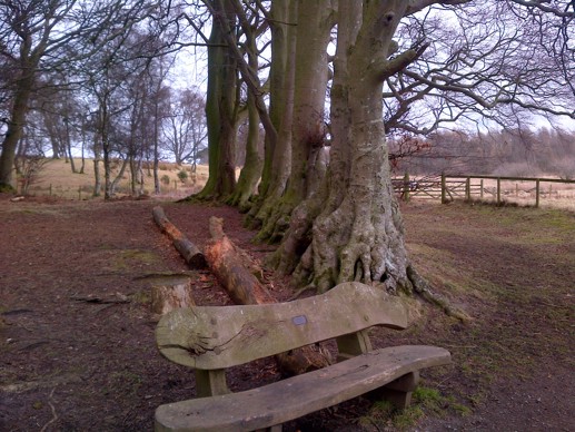 Talkin Tarn Country Park - Woodland Trust