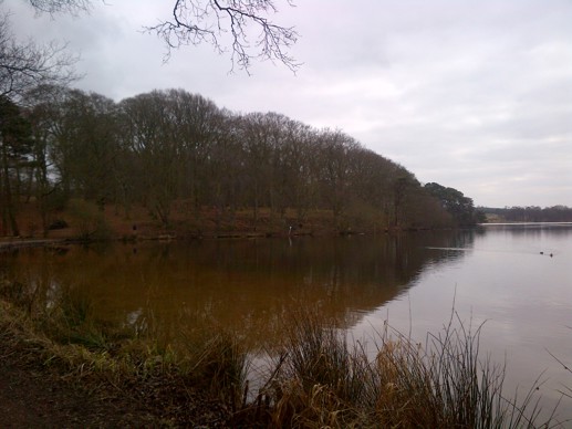 Talkin Tarn Country Park - Woodland Trust