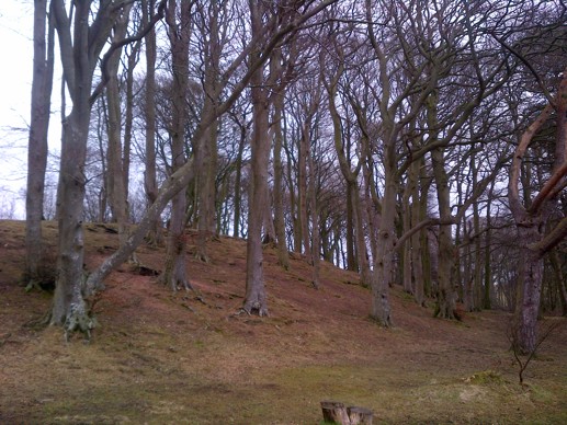 Talkin Tarn Country Park - Woodland Trust